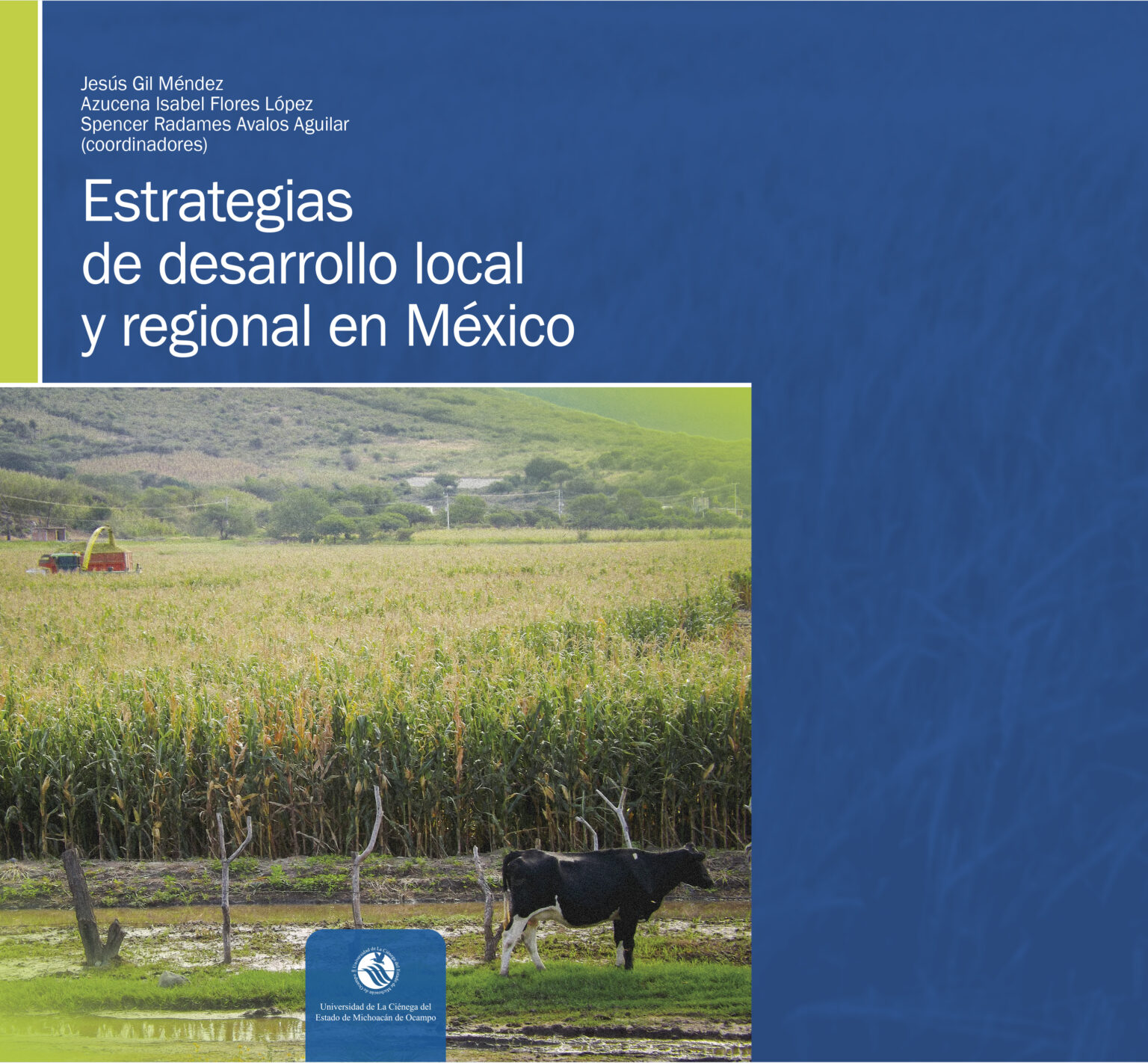 Estrategias De Desarrollo Local Y Regional En México